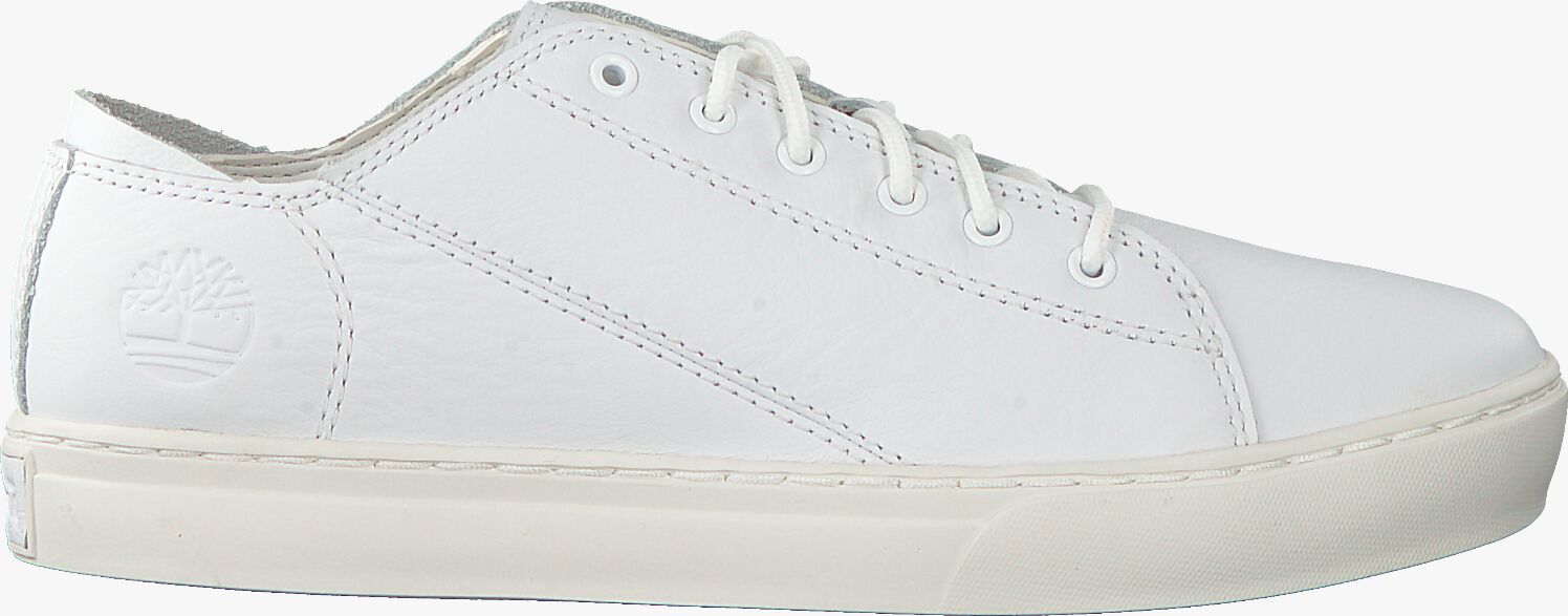 Witte TIMBERLAND Lage sneakers ADV 2.0 CUPSOLE MODERN OX | Omoda