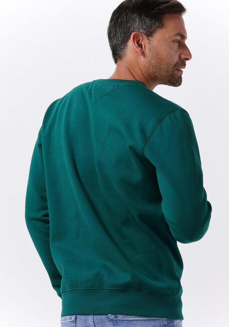 Donkergroene TOMMY JEANS Sweater TJM REGULAR FLEECE C NECK | Omoda