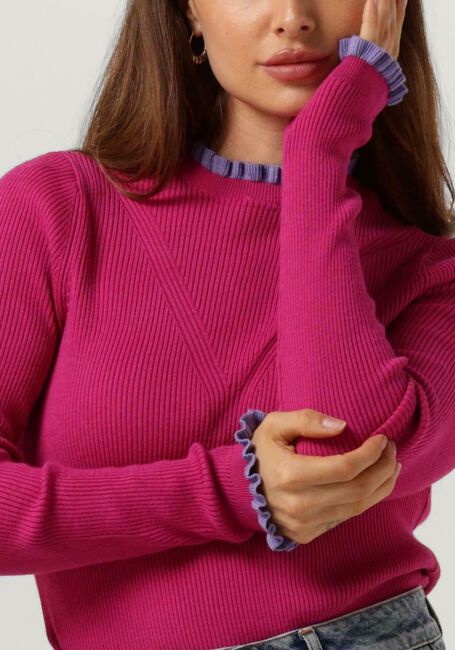 Roze POM AMSTERDAM Trui FIERY PINK | Omoda
