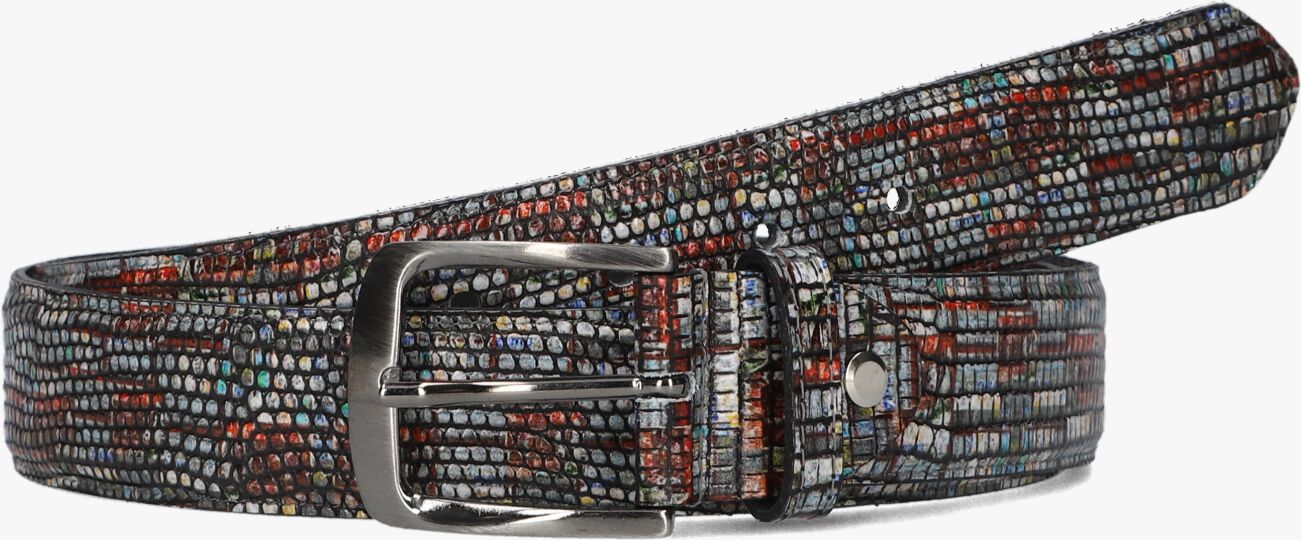 Grijze REHAB Riem BELT DOORS | Omoda