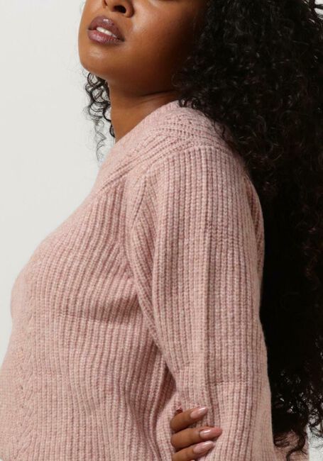 Roze NEO NOIR Trui GIMORA KNIT BLOUSE | Omoda