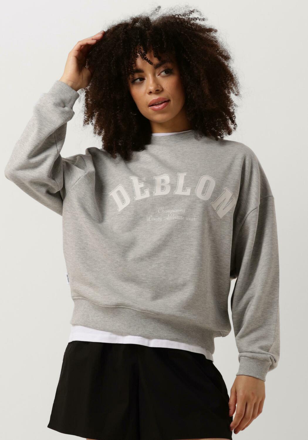 Grijze DEBLON SPORTS Sweater CIA SWEATER | Omoda