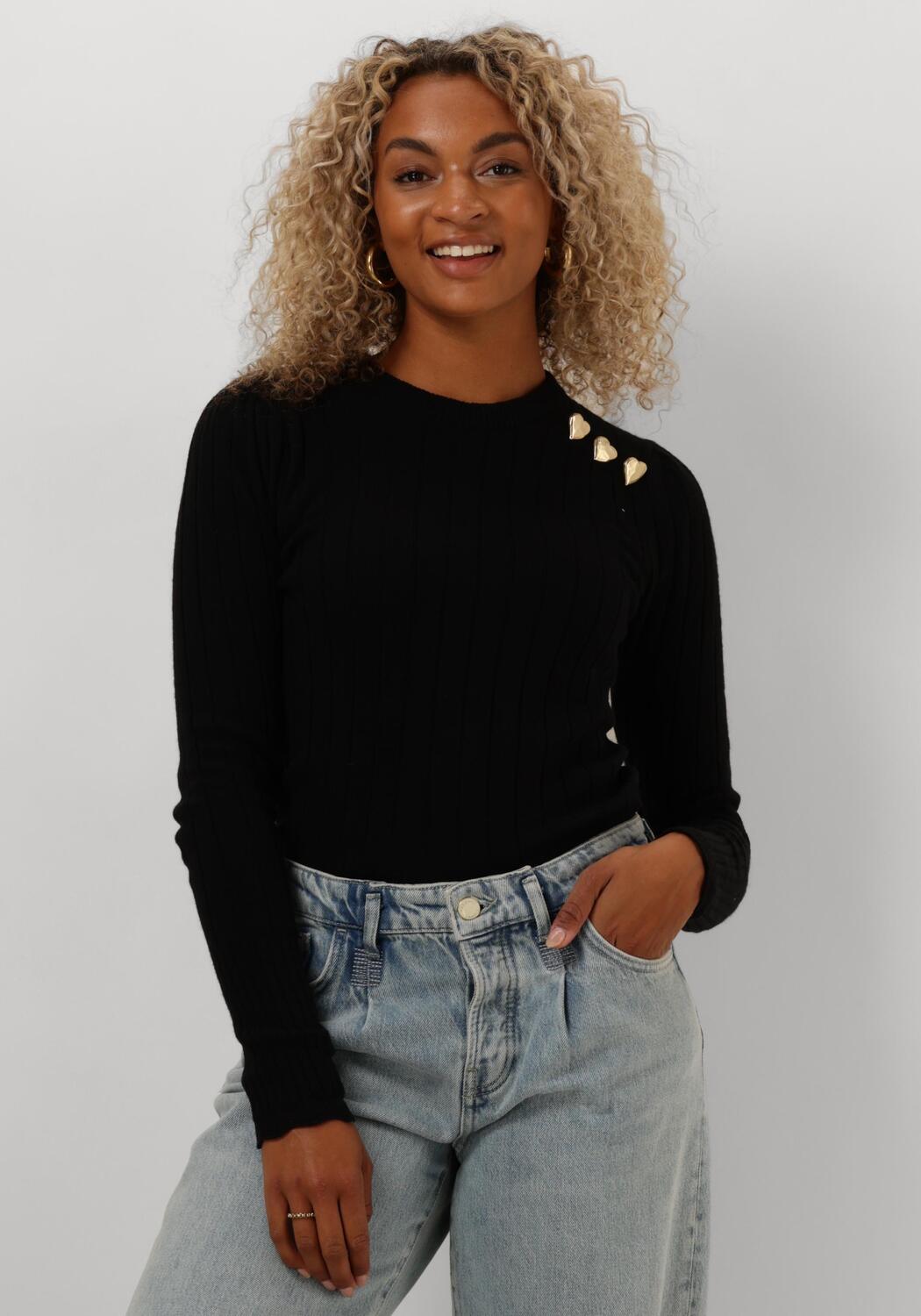 Zwarte FABIENNE CHAPOT Trui BANDA PULLOVER | Omoda